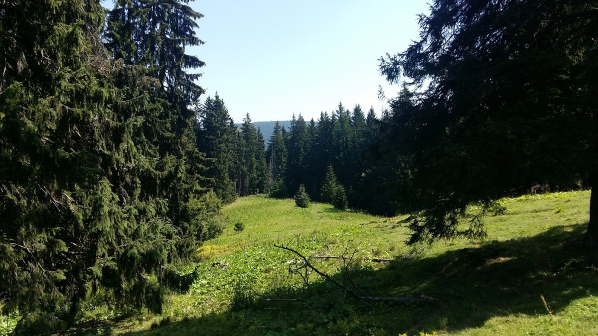 5 trasee de munte usoare, drumetii pe care le poti face oricand cu copiii